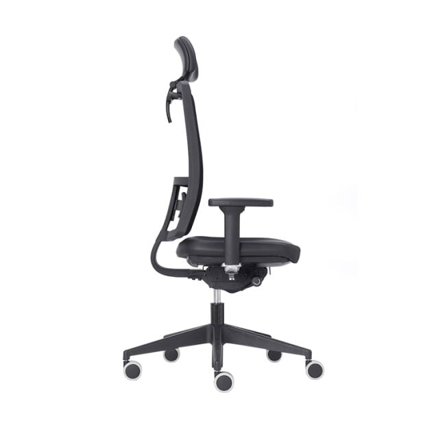 Ergonomic Work Office Chair with Adjustable Headrest